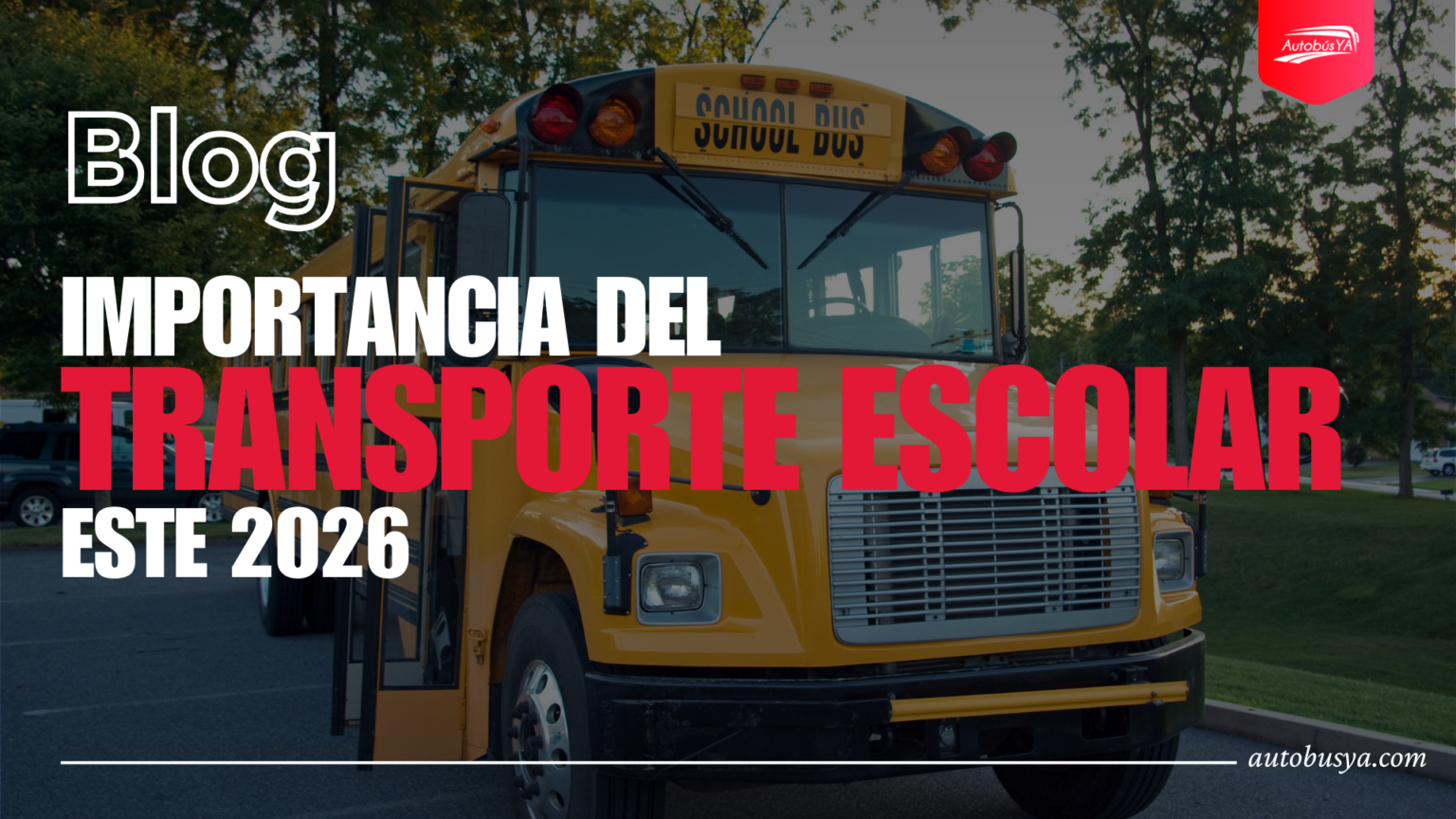 La importancia del transporte escolar en 2026: seguridad, eficiencia y ...